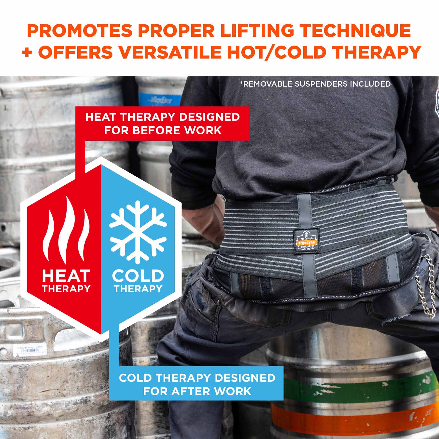 Ergodyne ProFlex 1675 Back Support Brace with Cooling/Warming Pack ...