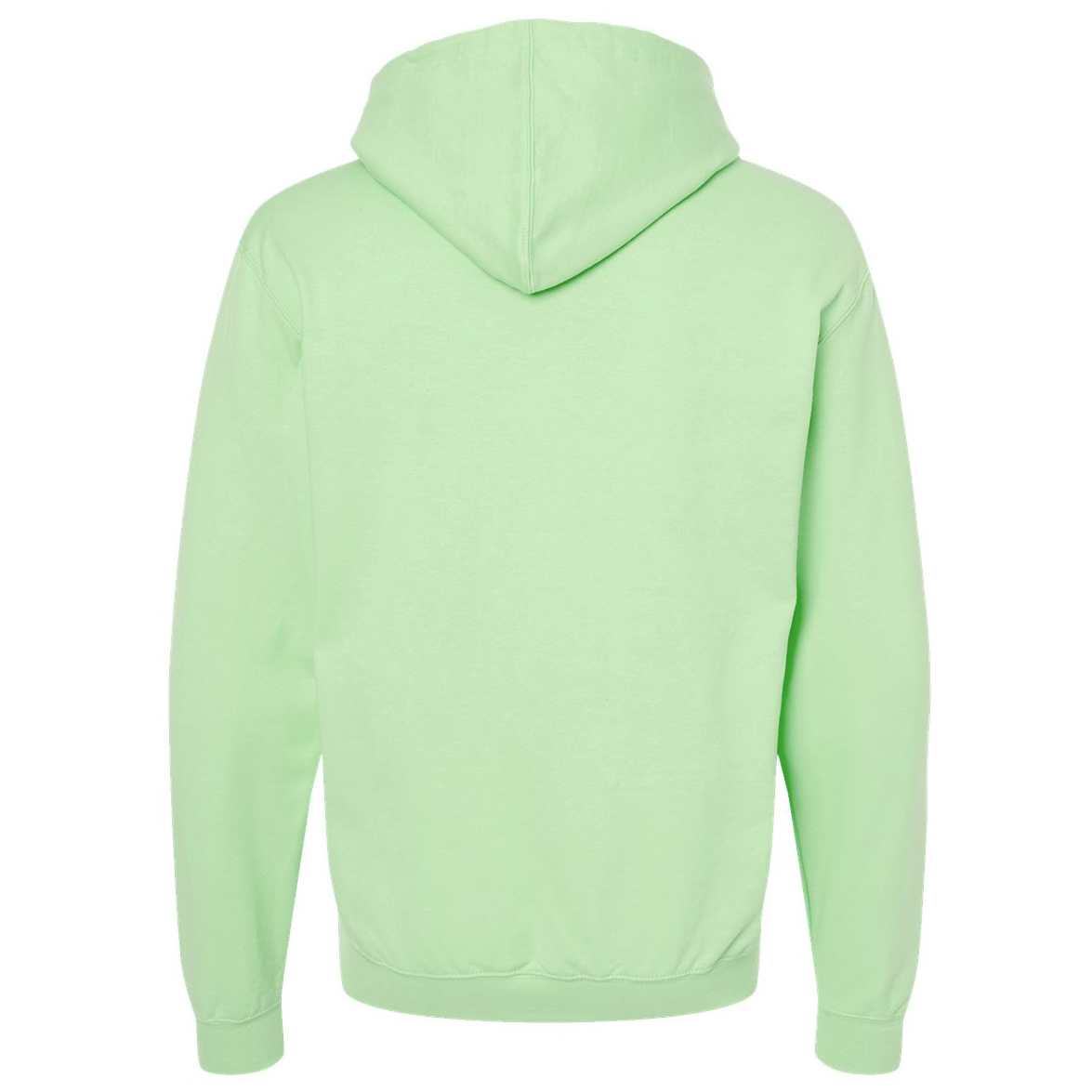 Tultex 320 Unisex Fleece Hooded Sweatshirt - Neo Mint | Full Source