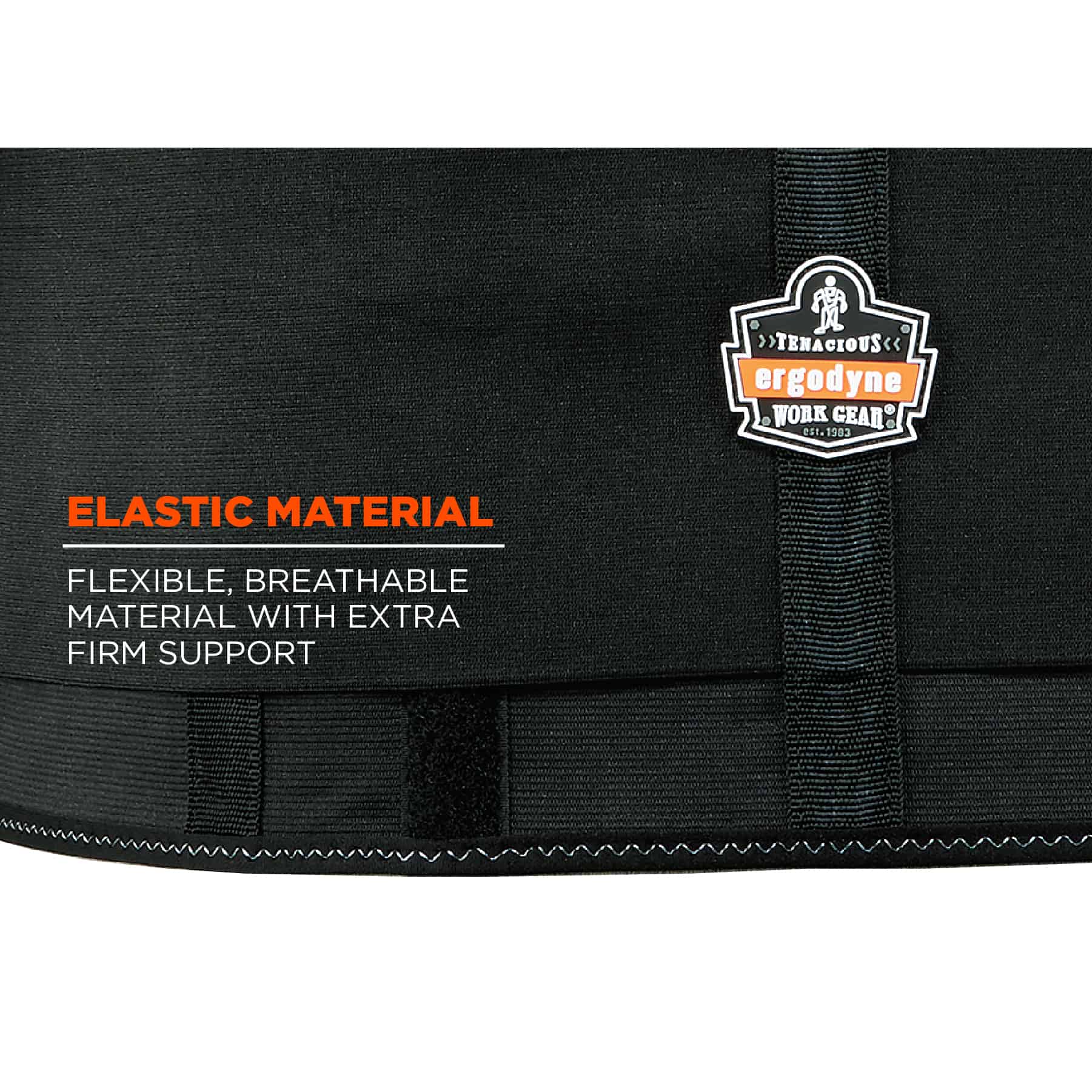 Ergodyne ProFlex 1650 Economy Elastic Back Support | Full Source