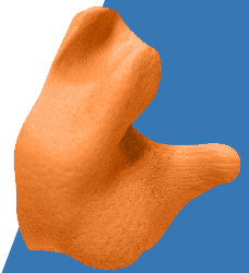 Hearing Protection | Full Source